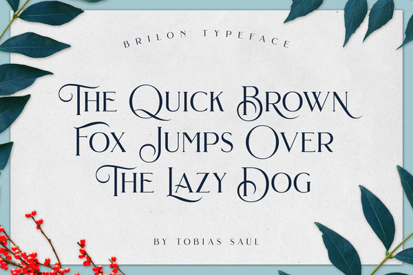 Brilon Font + Extras